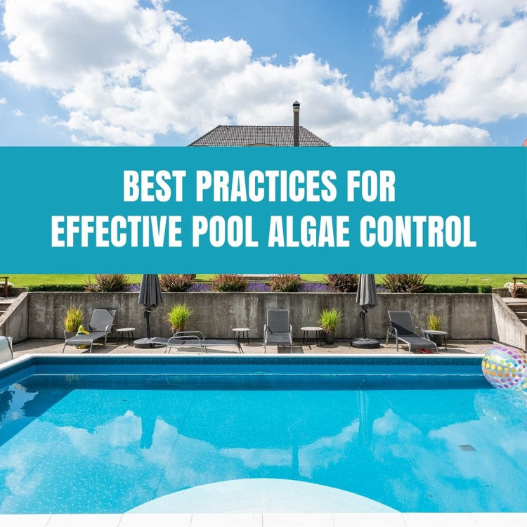 Best Practices for Effective Pool Algae Control – AquaDoc