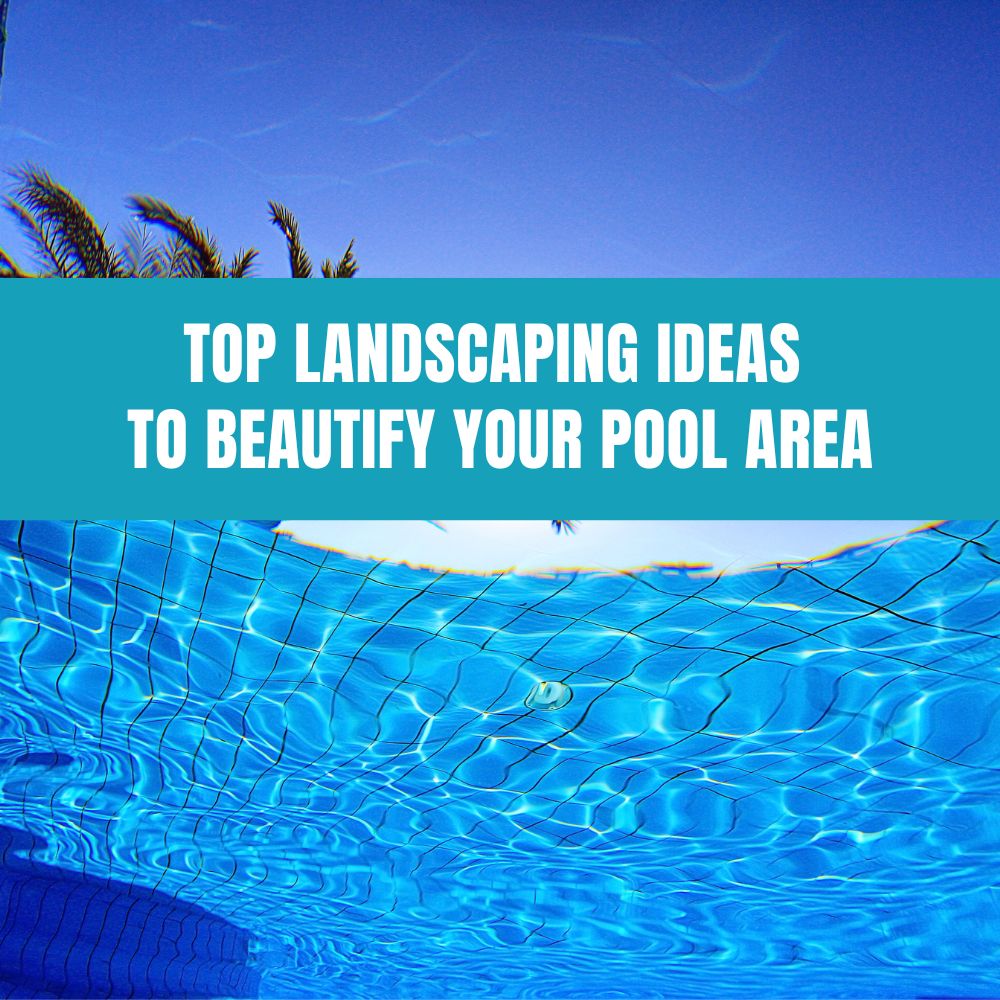 Top Landscaping Ideas to Beautify Your Pool Area – AquaDoc