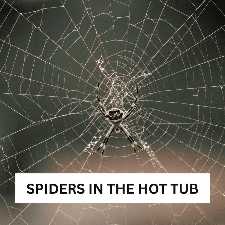 Spiders in the Hot Tub – AquaDoc